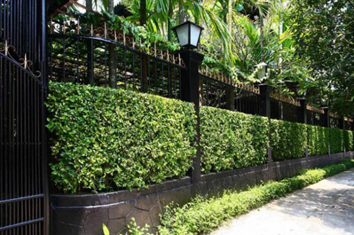 Những cách xây hàng rào đẹp | AccHome